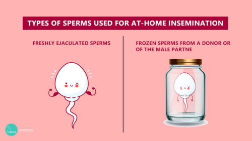 What Are The Benefits Of IUI? – IUI Treatment At Home